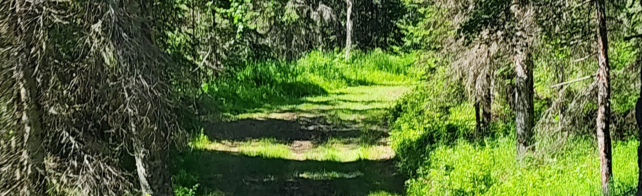 Mountain Goat, Raven, Wolf, Bear and Wolverine Loop : 48 Reviews, Map ...