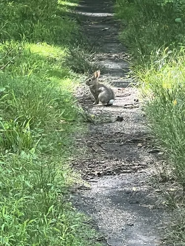 Best Hikes and Trails in Mercer County Park | AllTrails