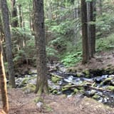 Eagle Creek Trail, Oregon - 798 Reviews, Map | AllTrails