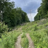 Western Ridge Trail to Overlook, New York - 677 Reviews, Map | AllTrails