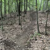 Western Ridge Trail to Overlook, New York - 677 Reviews, Map | AllTrails