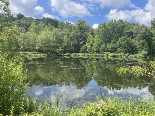 10 Best Lake Trails In Patapsco Valley State Park Alltrails