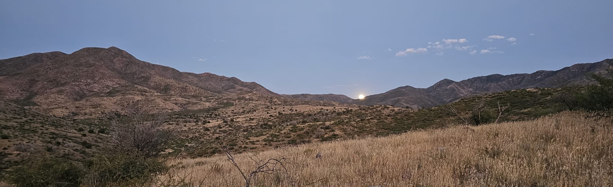 Boulder Creek Trail: 6 Reviews, Map - Arizona | AllTrails