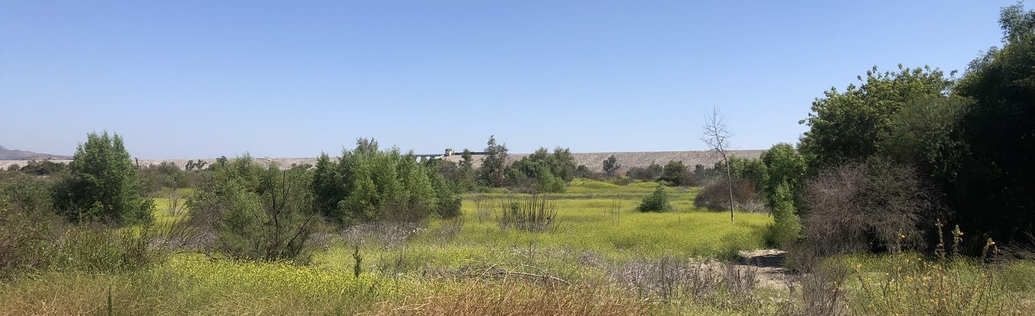 Hansen Dam Bike Path Trail, California - 486 Reviews, Map | AllTrails