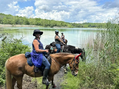 2023 Best Historic Site Trails in Hardwick Township | AllTrails