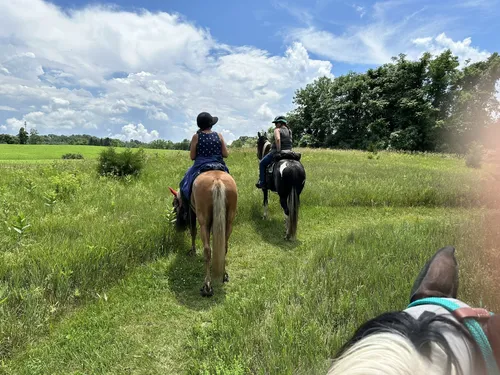 2023 Best Historic Site Trails in Hardwick Township | AllTrails