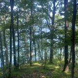 Tracy Ridge Hiking Trail System , Pennsylvania - 349 Reviews, Map ...