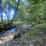 Tracy Ridge Hiking Trail System , Pennsylvania - 349 Reviews, Map ...
