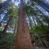 Washington Park Loop, Oregon - 1,435 Reviews, Map | AllTrails