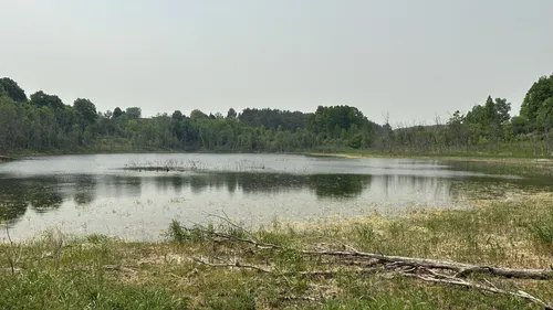 Best Hikes and Trails in Mystery Valley Karst Preserve | AllTrails