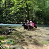 Greer Spring Trail, Missouri - 338 Reviews, Map | AllTrails