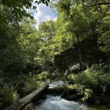 Greer Spring Trail, Missouri - 338 Reviews, Map | AllTrails