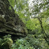 Greer Spring Trail, Missouri - 338 Reviews, Map | AllTrails