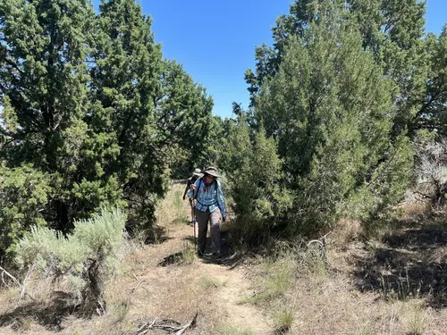 Best Hikes and Trails in Massacre Rocks State Park | AllTrails