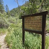 Sandys Canyon Trail, Arizona - 1,174 Reviews, Map | AllTrails
