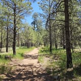 Sandys Canyon Trail, Arizona - 1,174 Reviews, Map | AllTrails