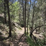 Sandys Canyon Trail, Arizona - 1,174 Reviews, Map | AllTrails