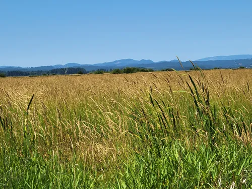 Best Walking Trails in Alvadore | AllTrails