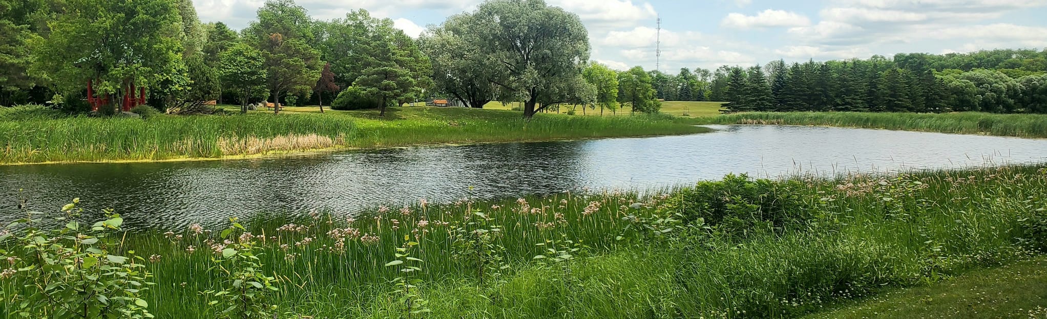 Kings Park Loop: 232 Reviews, Map - Manitoba, Canada | AllTrails