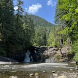 Wynoochee Falls Trail, Washington - 68 Reviews, Map | AllTrails