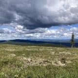 Summit Trail to Wickersham Dome, Alaska - 179 Reviews, Map | AllTrails