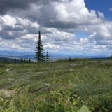 Summit Trail to Wickersham Dome, Alaska - 179 Reviews, Map | AllTrails