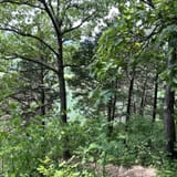 High Point Trail and Rock Top, Illinois - 189 Reviews, Map | AllTrails
