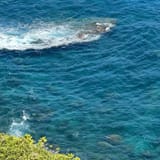 Ohai Trail Loop, Maui, Hawaii - 747 Reviews, Map | AllTrails