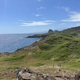 Ohai Trail Loop, Maui, Hawaii - 747 Reviews, Map | AllTrails
