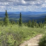 Summit Trail to Wickersham Dome, Alaska - 179 Reviews, Map | AllTrails