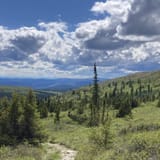 Summit Trail to Wickersham Dome, Alaska - 179 Reviews, Map | AllTrails