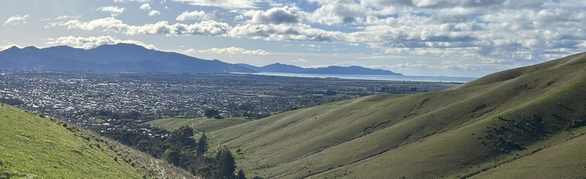 Rotary Lookout, Twin Tanks, and Lower Quail Stream Track Loop: 35 foto ...