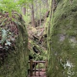 Talus Rocks Loop, Washington - 1,374 Reviews, Map | AllTrails