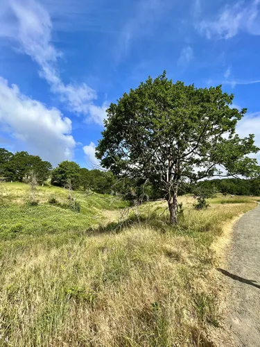 Best Hikes and Trails in Baskett Slough National Wildlife Refuge ...