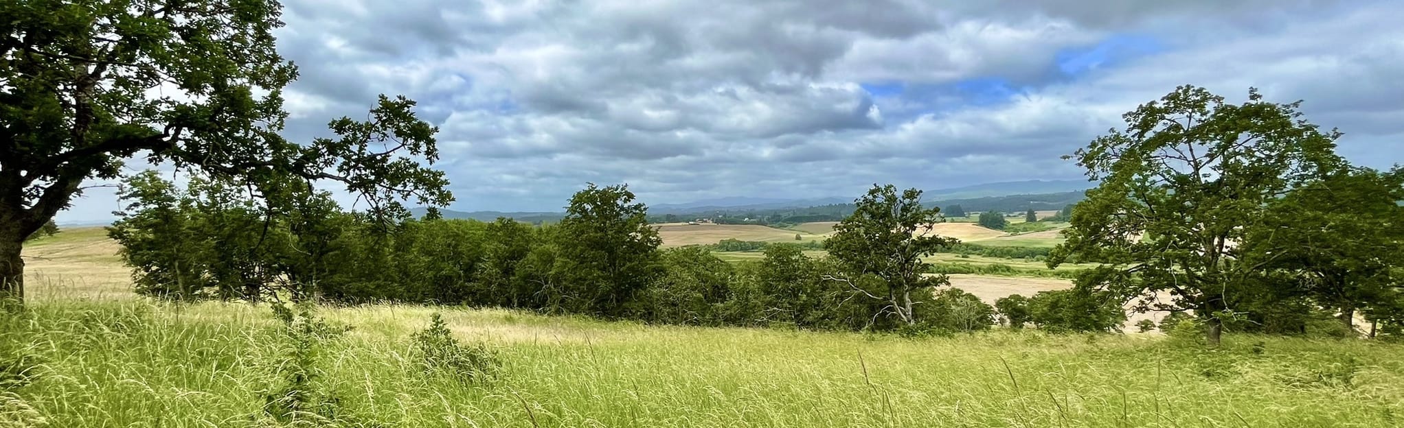 Baskett Bluff Loop, Oregon - 347 Reviews, Map | AllTrails