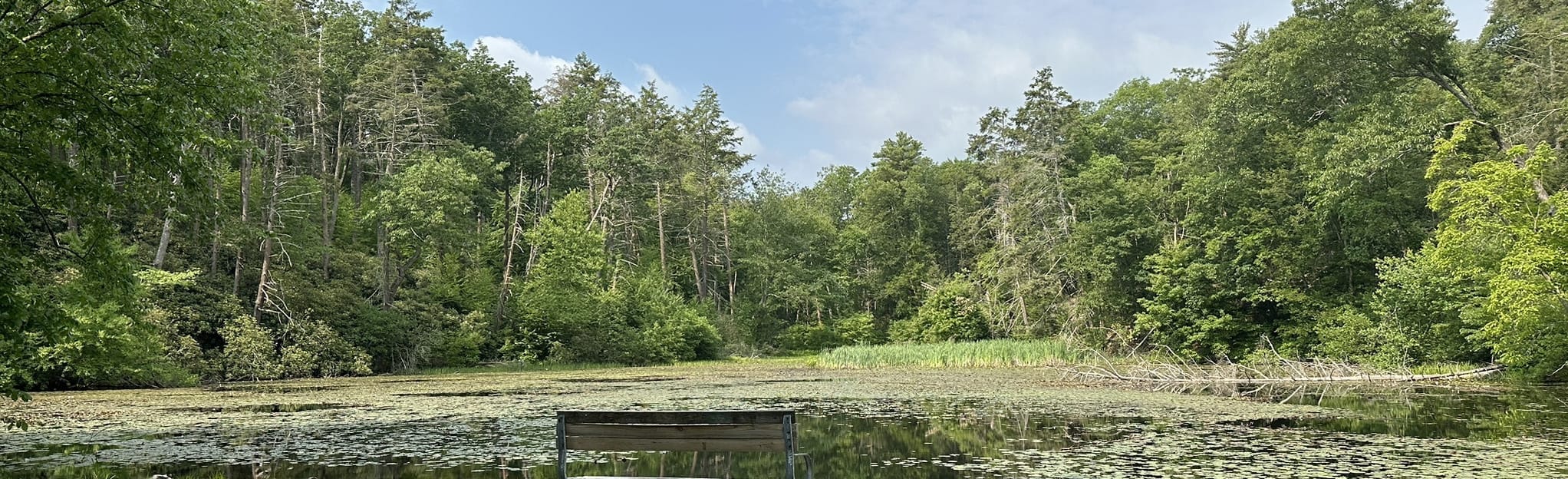 AllTrails | Lake Lenape to Wolf Rocks via Appalachian Trail: 63 Reviews ...