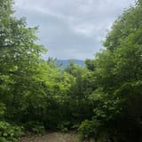 Sutton Ridge Overlook Trail, Tennessee - 495 Reviews, Map | AllTrails