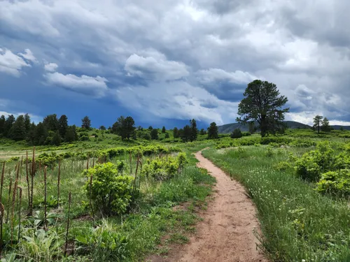 Best Hikes and Trails in Sandstone Ranch Open Space | AllTrails