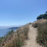 Ontario Ridge Trail via Sycamore Springs, California - 445 Reviews, Map ...