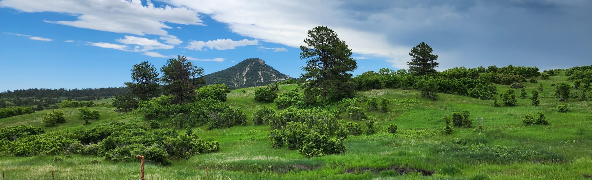 Sandstone Meadow Loop: 357 Reviews, Map - Colorado | AllTrails