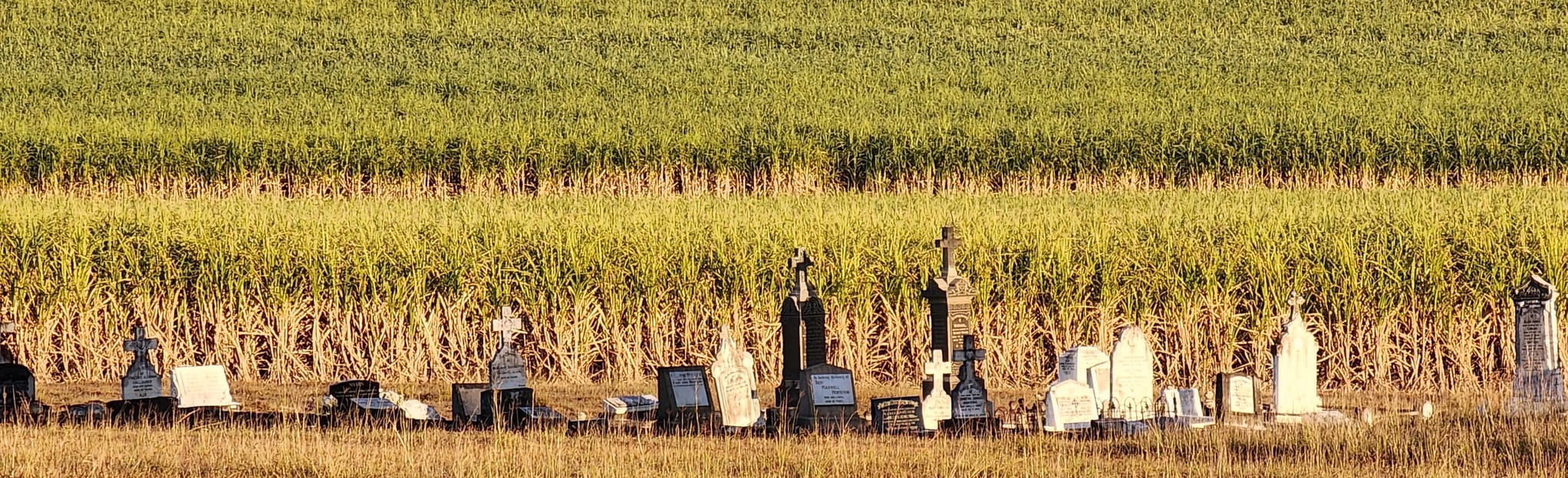 Watawa Recreation Trail: 5 Reviews, Map - Queensland, Australia | AllTrails