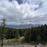 Wyeth to Gorge Trail, Oregon - 178 Reviews, Map | AllTrails