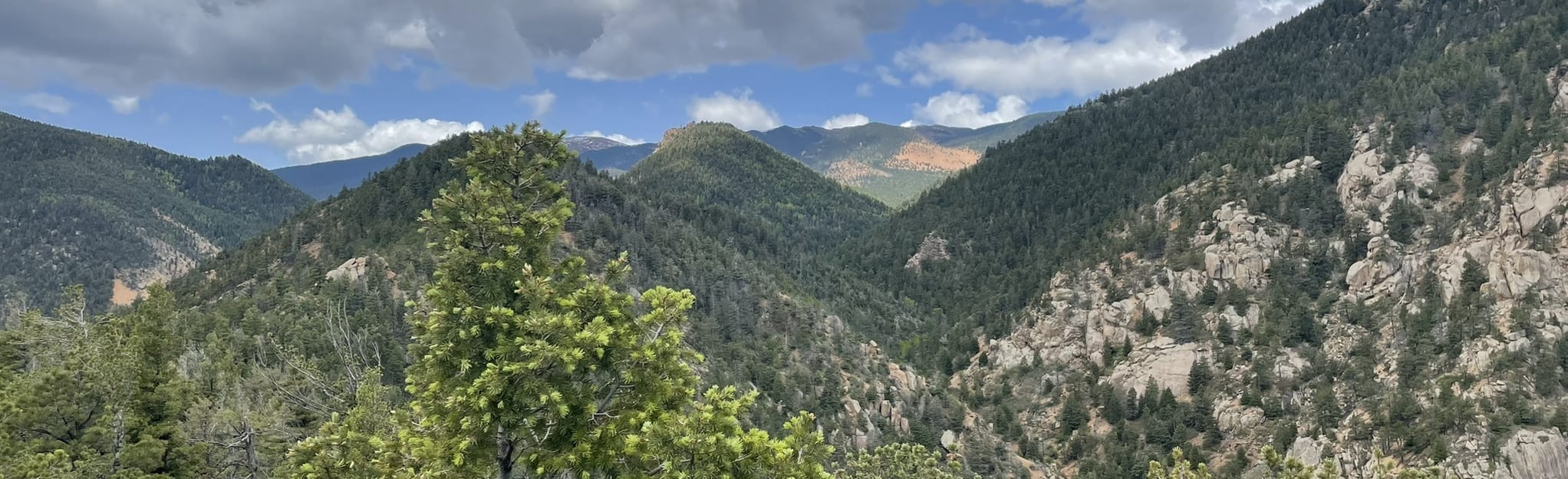 Seven Bridges, Bear Creek Trail #666 and Buckhorn Trail Loop: 47 ...