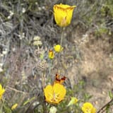 Balboa Park Loop, California - 899 Reviews, Map | AllTrails