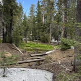 Round Valley Trail to Wellman Divide, California - 449 Reviews, Map ...