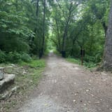Rock Hollow Trail, Missouri - 924 Reviews, Map | AllTrails