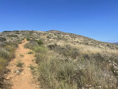 Best Hikes and Trails in Otay Ranch Preserve | AllTrails