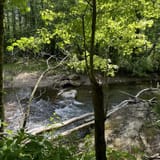 Peg Leg Mine Trail, Tennessee - 165 Reviews, Map | AllTrails