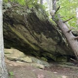Peg Leg Mine Trail, Tennessee - 165 Reviews, Map | AllTrails