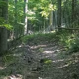 Lost Spring Trail, Tennessee - 68 Reviews, Map | AllTrails